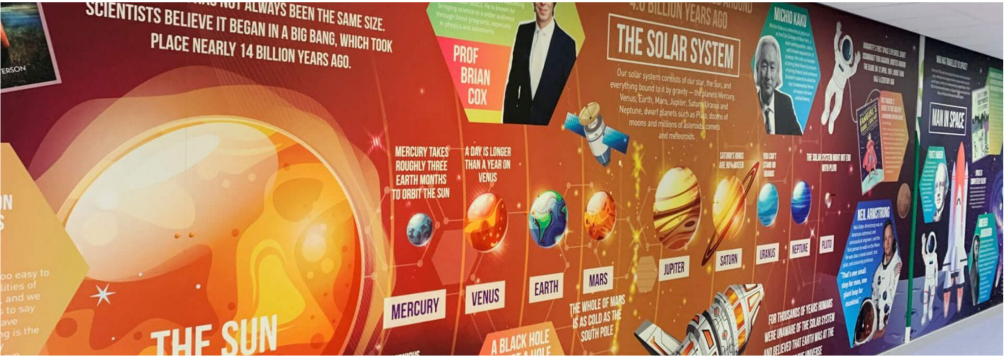 Thrive and Flourish : Creative Walls for Schools - CAT